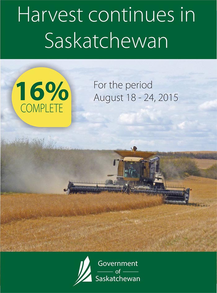 Crop Report for the Period August 18 to 24, 2015 | News and Media ...