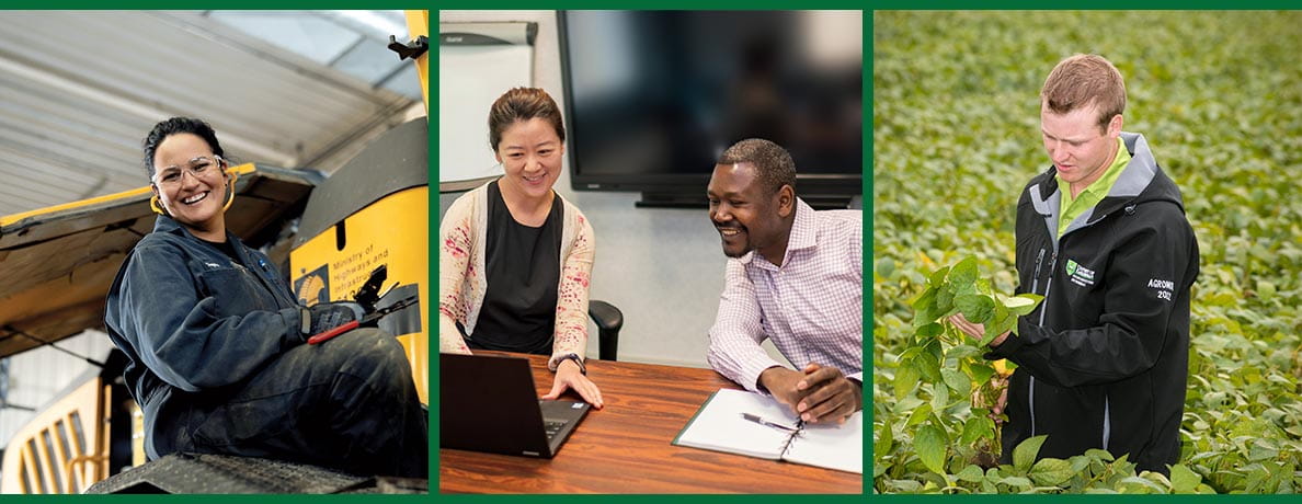 Jobs in the Saskatchewan Public Service | Find and Apply for Jobs in ...